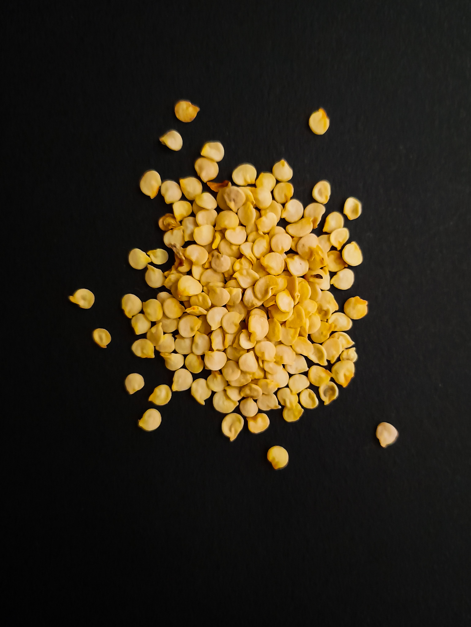 Le semis du Piment d’Espelette, l’histoire d’une semence fermière ...